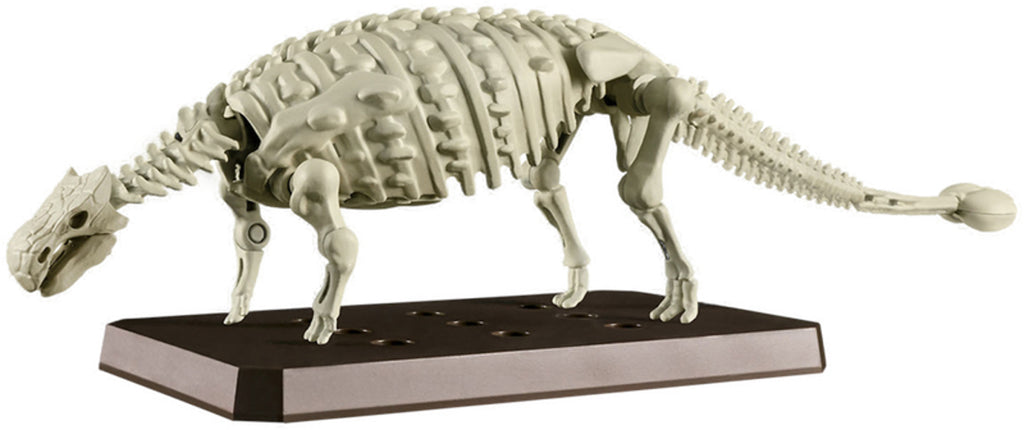 Ankylosaurus - Plannosaurus - Plastic Model Kit - Bandai – Iron Studios ...